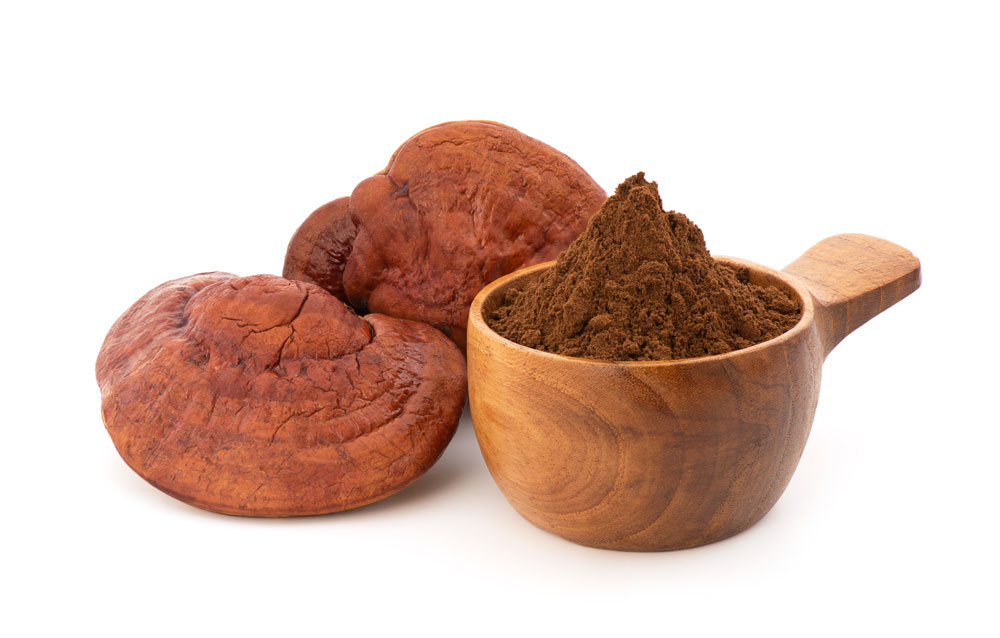 Reishi účinky: Ako dlho užívať hubu reishi a ktorá je najlepšia?